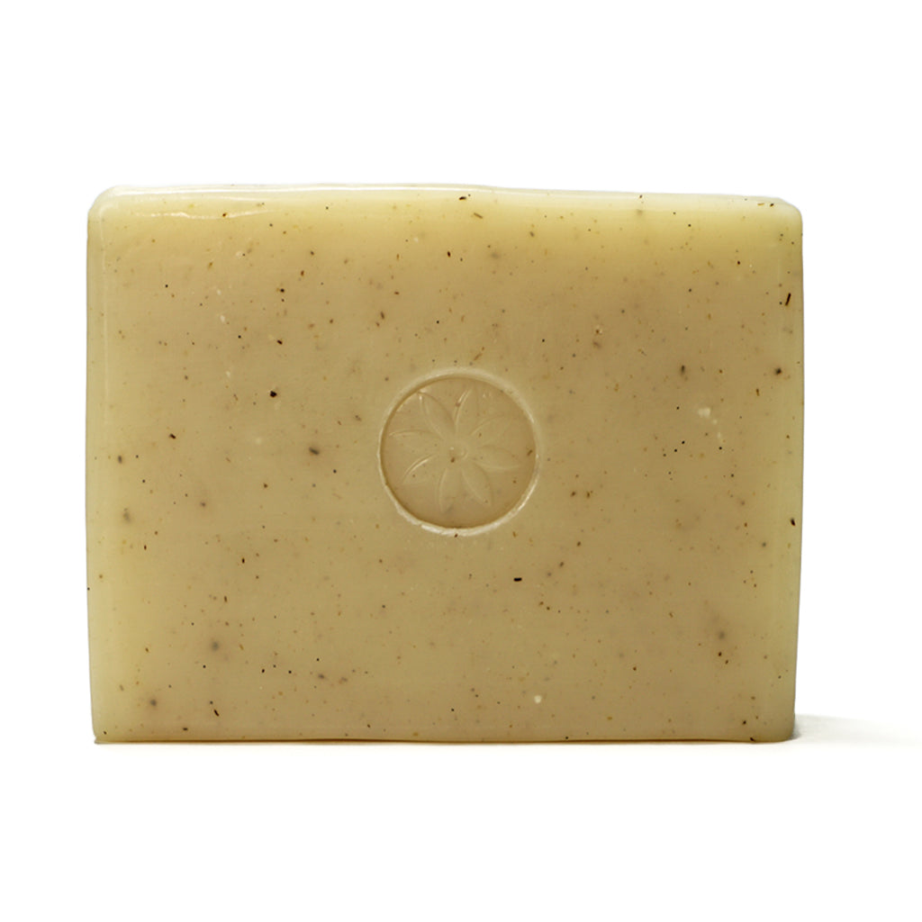 Cardamom & Vetiver Bar Soap | TONIC
